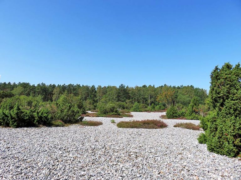 Feuersteinfelder Rügen in Neu Mukran - „Steinernes Meer“